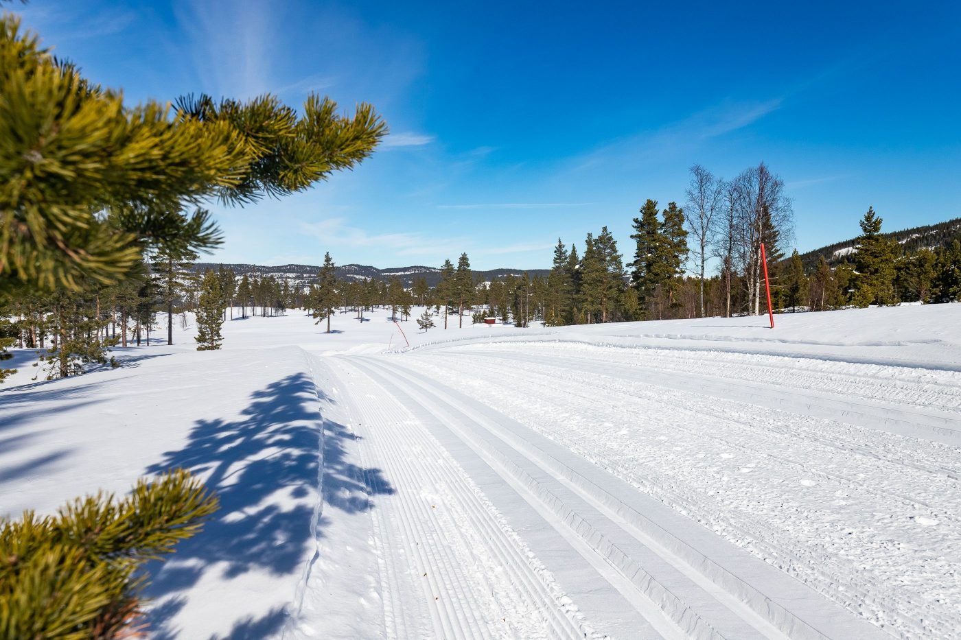 Nesbyen Fjellgrend - Nesbyen Fjellgrend
